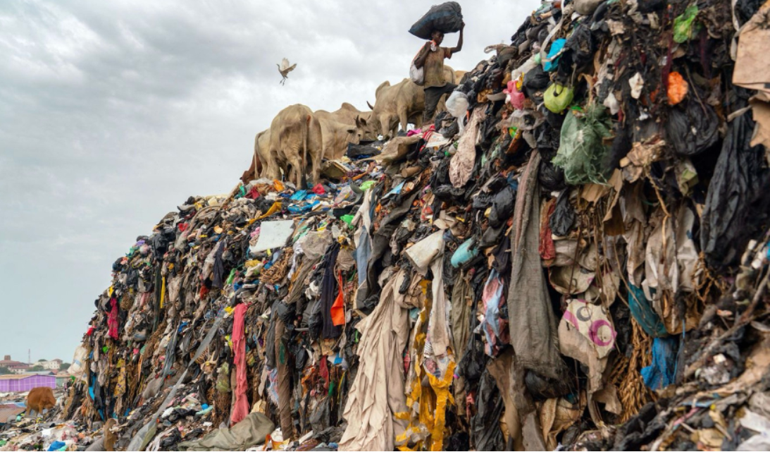 Problème 555 – Quel modèle de pollution pour Shein? – MathsAMoi.com